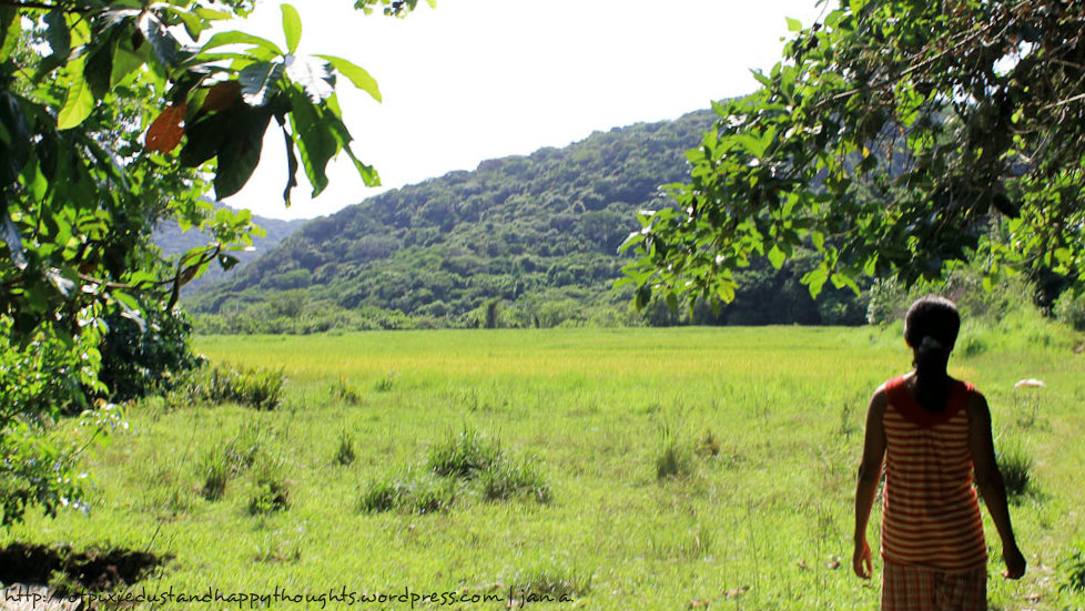 Palaui, Cagayan Trip Island Hopping Day 1: Punta Verde and Crocodile ...