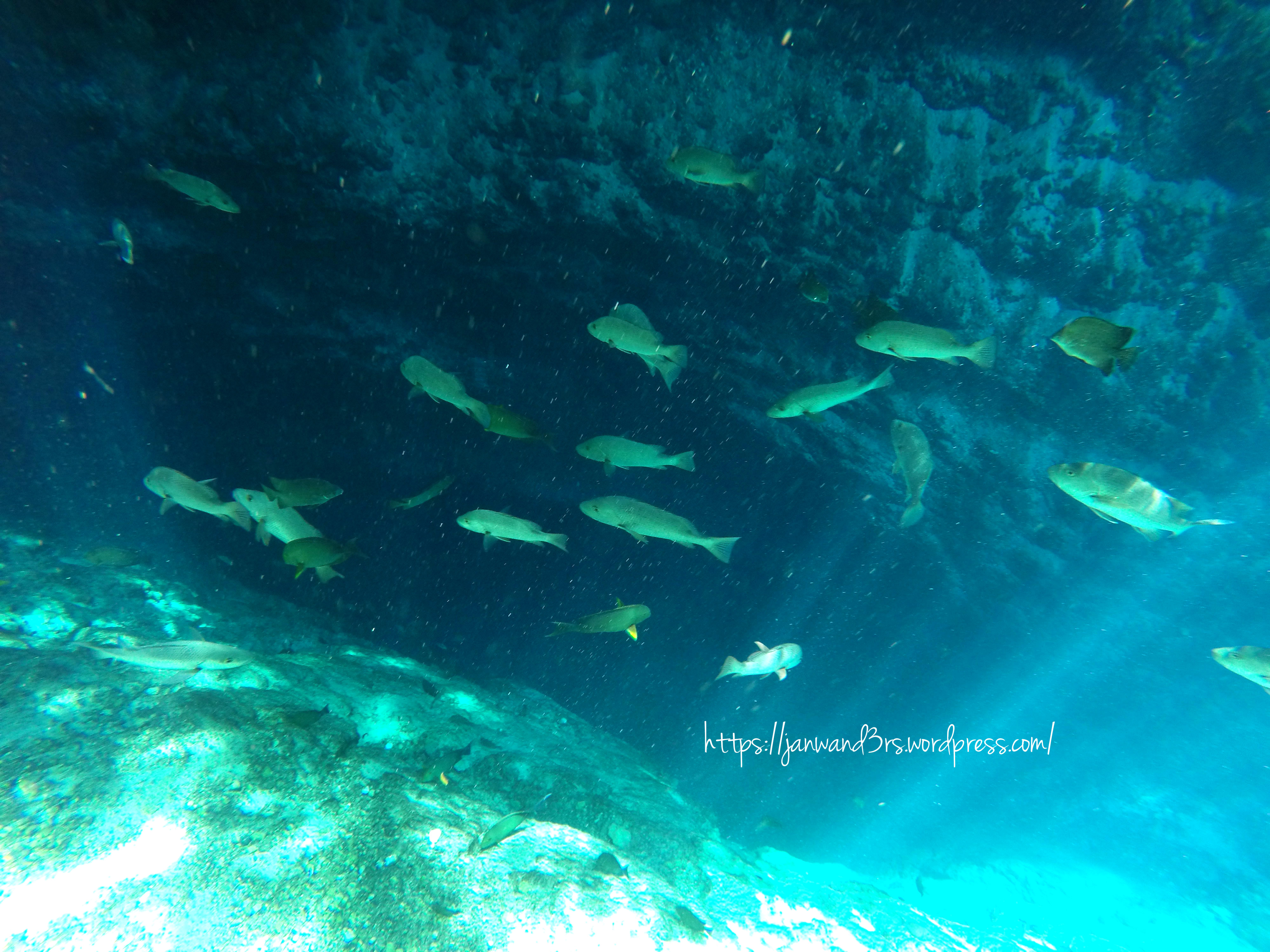 Enchanted River Surigao: What You Need to Know – Wanderworld